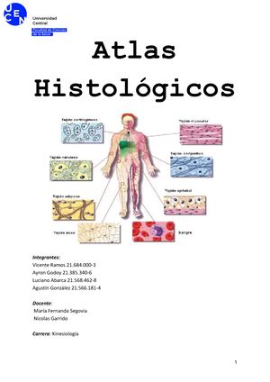 Cuestionario de Histología n2 Epitelios ZONA DE APRENDIZAJE GUIADO