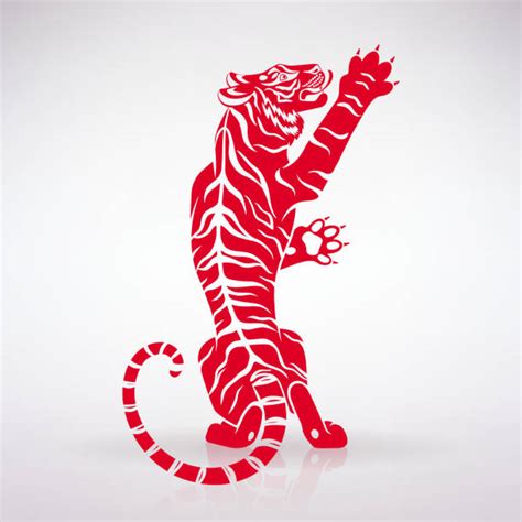 Siberian Tiger Tattoos Illustrations Royalty Free Vector Graphics