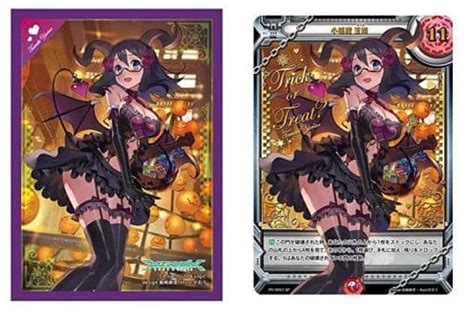 駿河屋 ラクエンロジック スリーブコレクション スペシャル Vol6 ラクエンロジック『小悪魔 玉姫』（トレカスリーブ）
