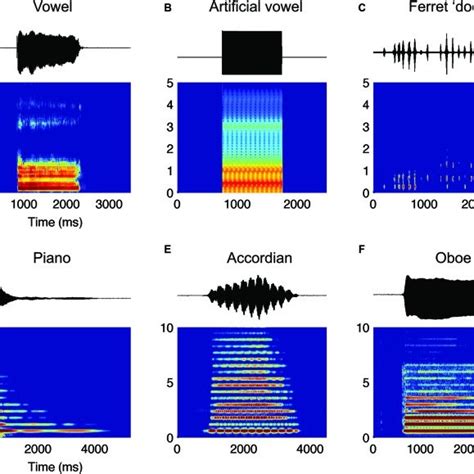 A Amplitude Waveforms Top And Spectrograms Bottom For A Female Download Scientific
