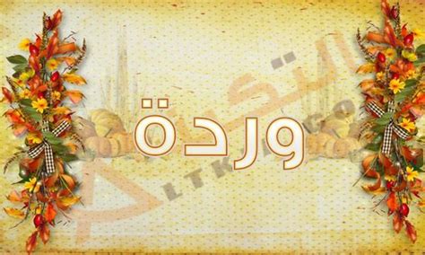 صور اسم وردة خلفيات لاسم وردة 2025 رمزيات روعة باسم وردة صقور الإبدآع
