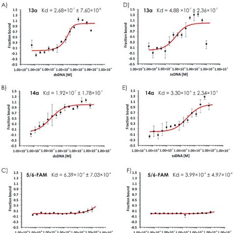 microscale thermophoresis mst analysis of dsdna binding by