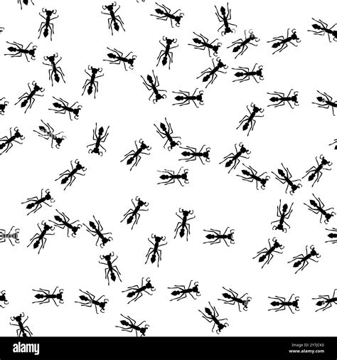 Ant Trail Path Seamless Pattern Insect Invasion Concept Stock Vector Image And Art Alamy