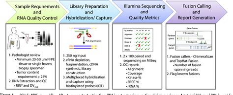figure 1 from validation of a targeted rna sequencing assay for kinase