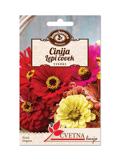 Cinija Lepi čovek Urban Garden