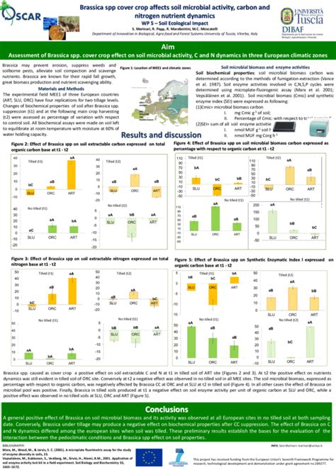 Pdf Brassica Spp Cover Crop Affects Soil Microbial Activity Carbon