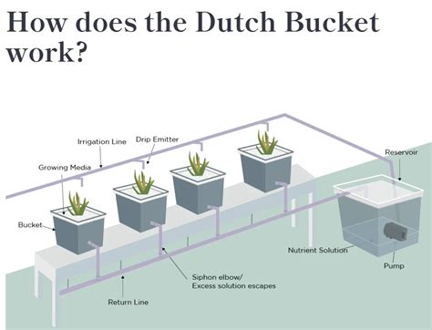 Dutch Bucket System Efficient Hydroponic Blueberry Grow Pots