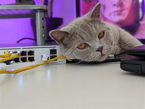 Best R Unifi Images On Pholder Well This Is What Happens When You Give People Admin Rights