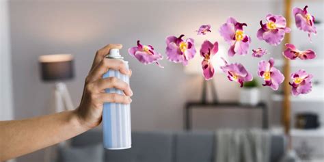 Comment désodoriser et parfumer votre intérieur avec une astuce simple et naturelle