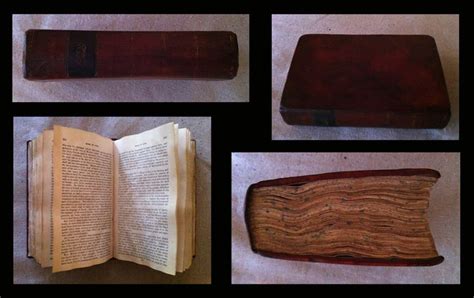 The Joe And Jill Chronicles 1830 Book Of Mormon Facsimile