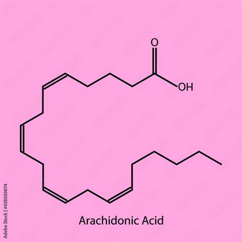 Arachidonic Acid Prostaglandin Biomolecule Molecular Formula
