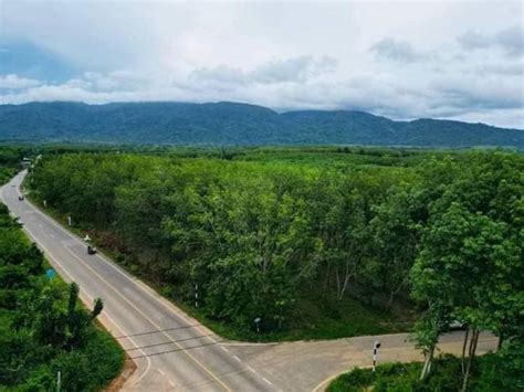 ขายสวนยางติดถนนลาดยางไร่ละ 1 ล้าน เขาชะเมา ระยอง ที่ดินร้อยแปด คอม