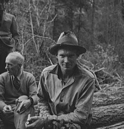 A Sawmill Saved The Town Of Ola Idaho From Disaster See Pictures Of