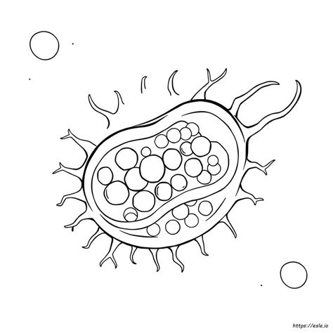 Coloriage Cellule Bactérienne