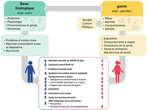 Influence Du Sexe Sur Le Covid 19 En Tenant Compte Des Facteurs à La