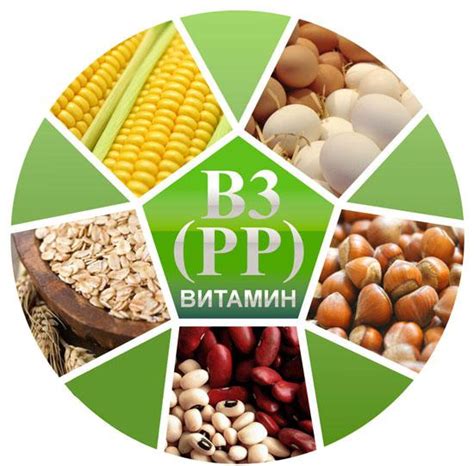 В каких продуктах содержится PP витамин и для чего он нужен? :: SYL.ru