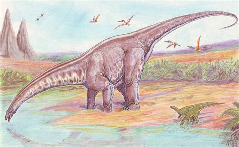 Apatosaurus Prehistoric Earth Wiki Fandom Powered By Wikia