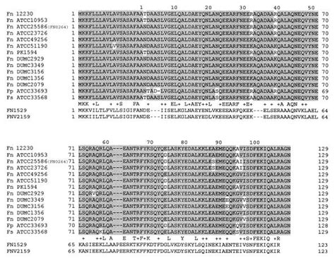 Identification And Characterization Of A Novel Adhesin Unique To Oral