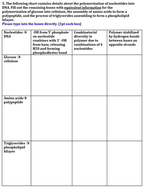 5 The Following Chart Contains Details About The Polymerization Of Nucleotides Into Dna Fill