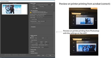 Solved Photoshop Is Scaling My Prints Up Without My Permi Adobe Support Community 8903162