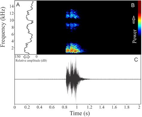 Amplitude Spectra Spectrogram And Waveform Of The Advertisement Call