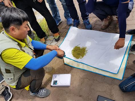 사단법인 한국손해평가사협회 경북지회 벼 수확량교육김천 감문농협 이론과 실무 전투교육을 무사히