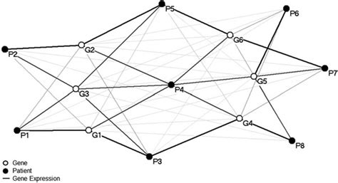 4 A Sample Bipartite Network Where Edges Exist Only Between Two Download Scientific Diagram