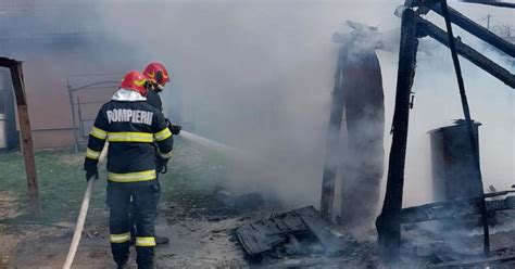Un cățel a ars de viu într un incendiu din Telechiu BIHON