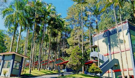 Rekomendasi 5 Hotel Murah Di Baturaden Yang Sajikan Pemandangan Indah