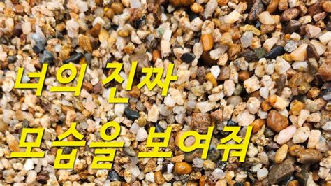 작은자갈에 숨겨진 모습 Youtube