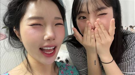 초대하지 않은 손님 Vlog Youtube