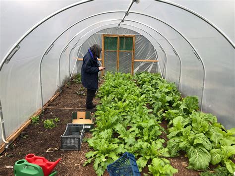 General Public Compost Map