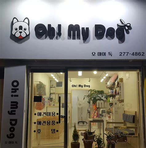 오마이독 경상남도 창원시 애견동반 미용