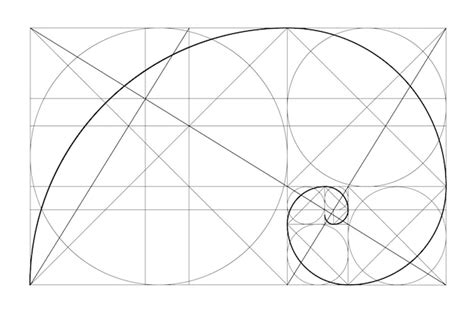 Premium Vector Vector Golden Relationship Template Golden Spiral