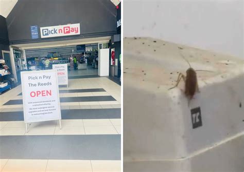 Pick N Pay Reopens After Cockroach Saga Mayor Denies Taking ‘bribe