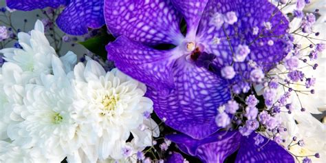 Plants For Prosperity Flowers That Symbolize Good Luck