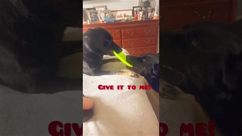 Rumble Adventures Of Mark Mattis And Friends 202211 Adventures