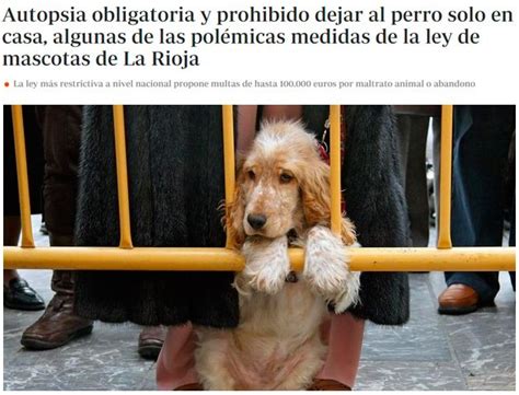 La nueva y polémica ley de mascotas de la Rioja tiene varios puntos