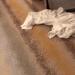 Wanghahadajiba Tumblr Com Tumbex Wanghahadajiba Tumblr Com Tumbex