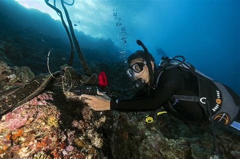 Turning The Tide Commercial Fishing And Ocean Conservation Bioneers
