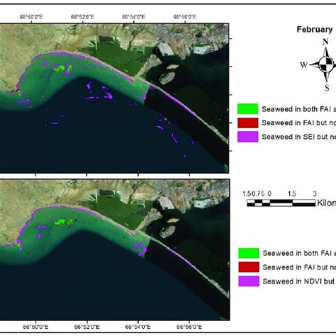 Floating Algae Index Fai Values Download Scientific Diagram