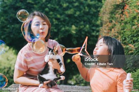 아시아 의 중국 어머니 딸 재생 거품 에 거품 그들의 집 의 뒤뜰 에 고양이 와 함께 일요일 아침 여가 시간 함께 결합 시간