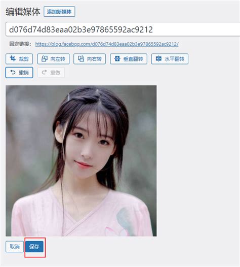 2021年WordPress博客装修美化一 知乎