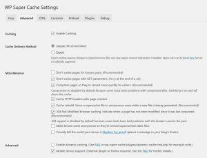 Easy Caching For Wordpress With Plugins Wordpress Theme Detector