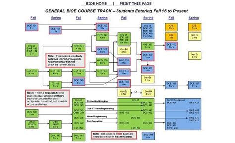 Biomedical Engineering Major Richard And Loan Hill Department Of