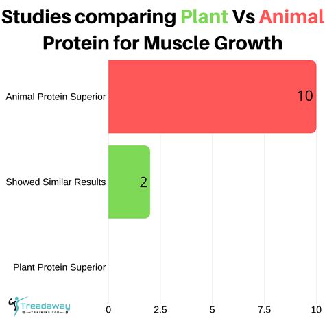 Plant Protein Vs Animal Protein For Building Muscle New Breaking