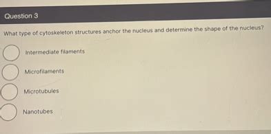 SOLVED Question 3 What Type Of Cytoskeleton Structures Anchor The