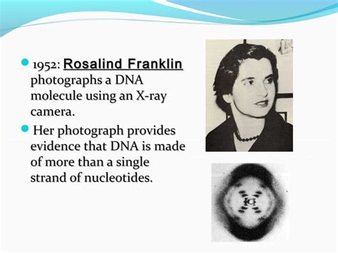 Dna Discovery And Structure 8 1 And 8 2 Ppt
