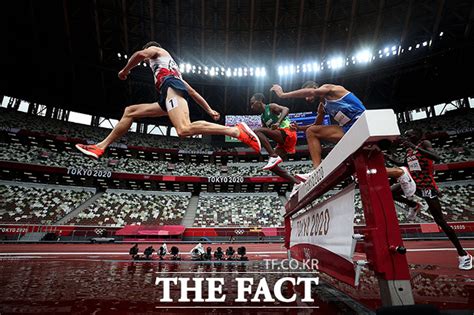 우승을 향해 넘고 달린다 3000m 장애물경주 Tf사진관 스포츠종합 기사 더팩트