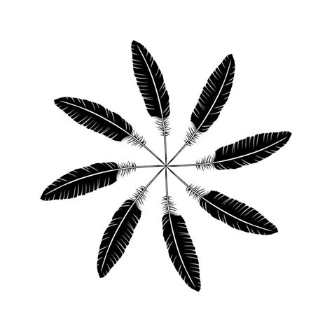 Ornamental Circle Shape Made By Feather Composition For Decoration Ornate Website Art